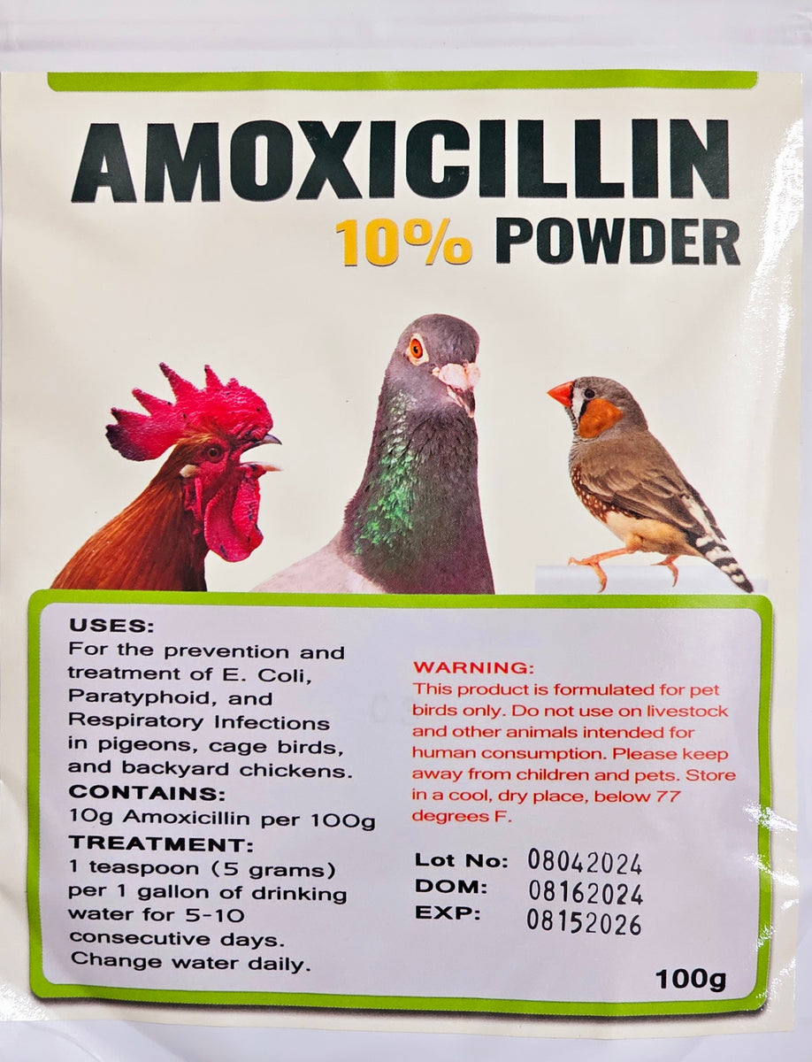 Amoxicillin 10% Powder – Paradise Aviary Exotics