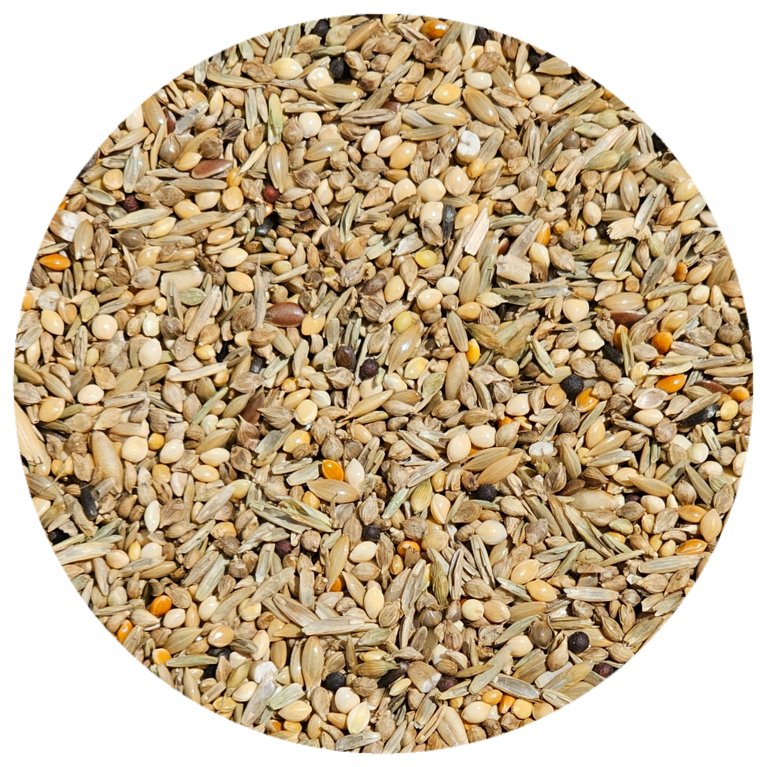 Paradise Aviary Breeding Season Finch Mix – Paradise Aviary Exotics