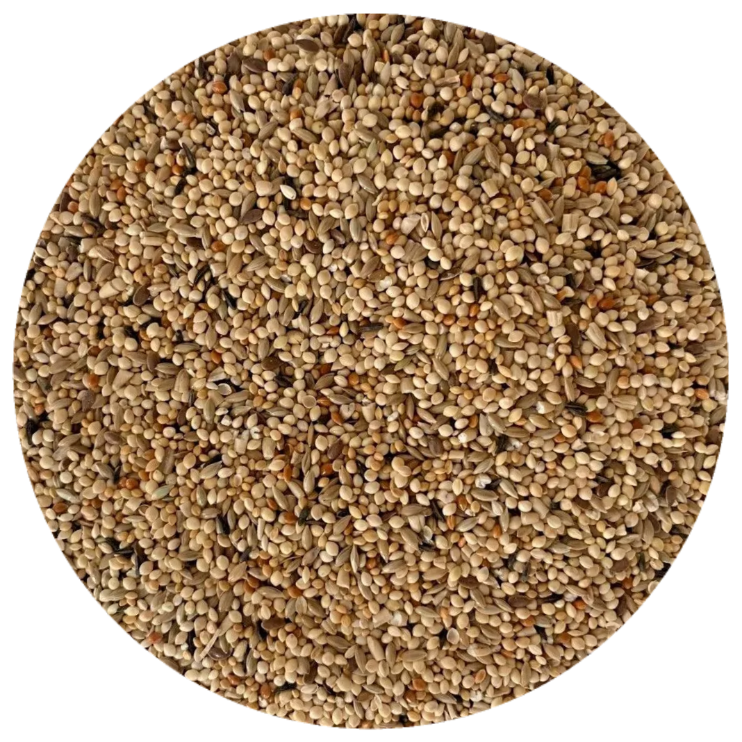 Paradise Aviary Finch Maintenance Seed Mix – Paradise Aviary Exotics